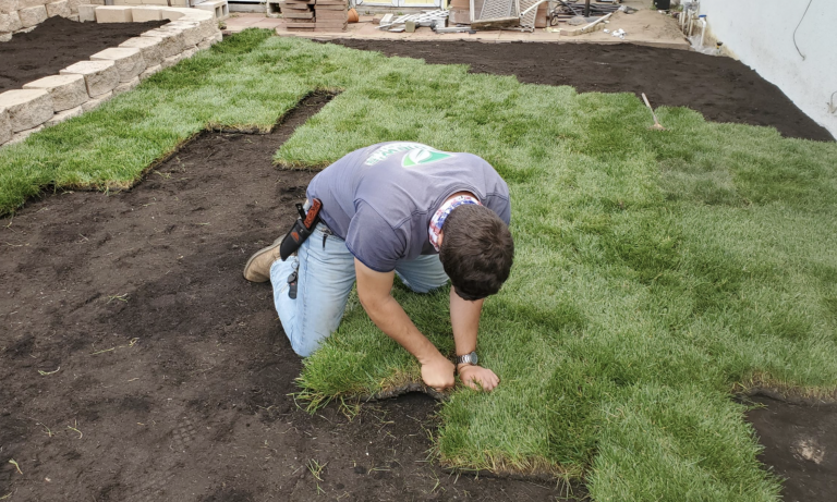 How to Install an Irrigation System: A Step-by-Step Guide